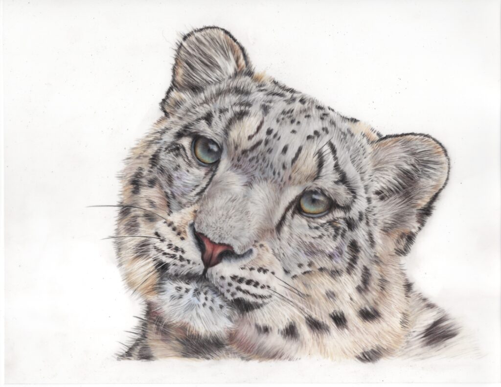 Custom Wildlife Portrait - Fine Art by Janna