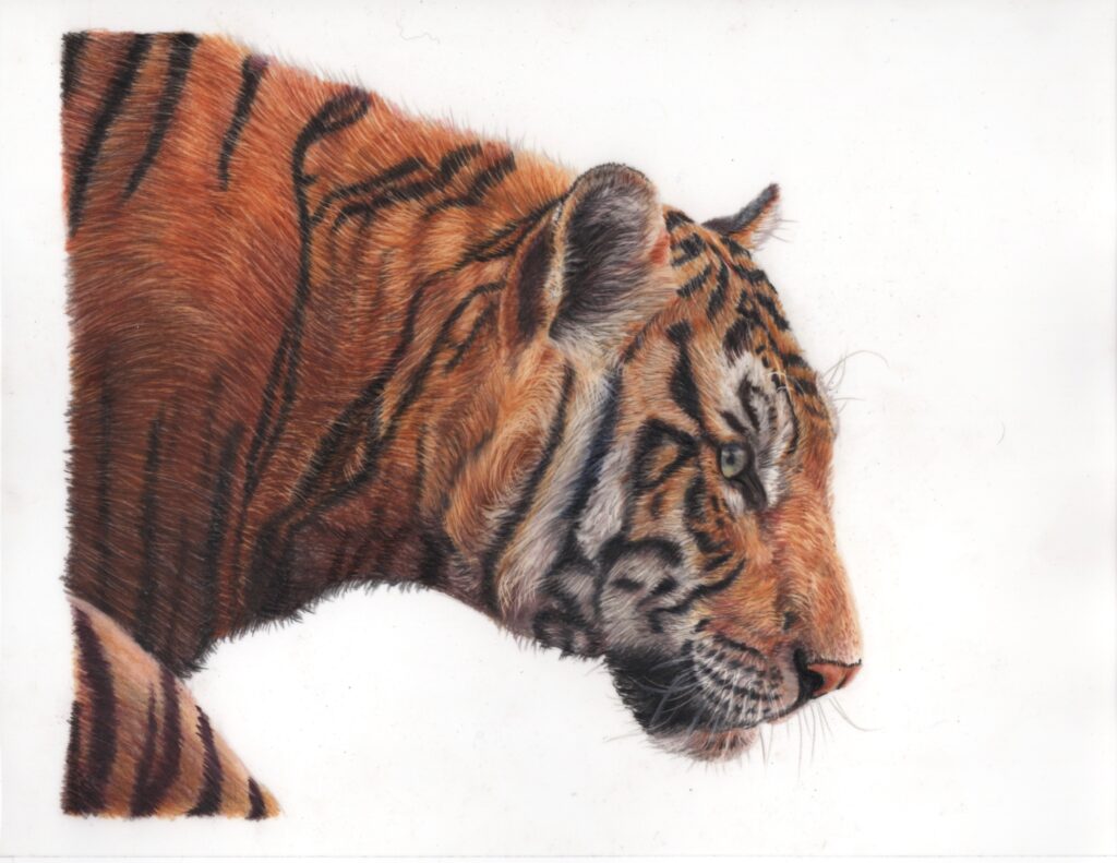 Custom Wildlife Portrait - Fine Art by Janna