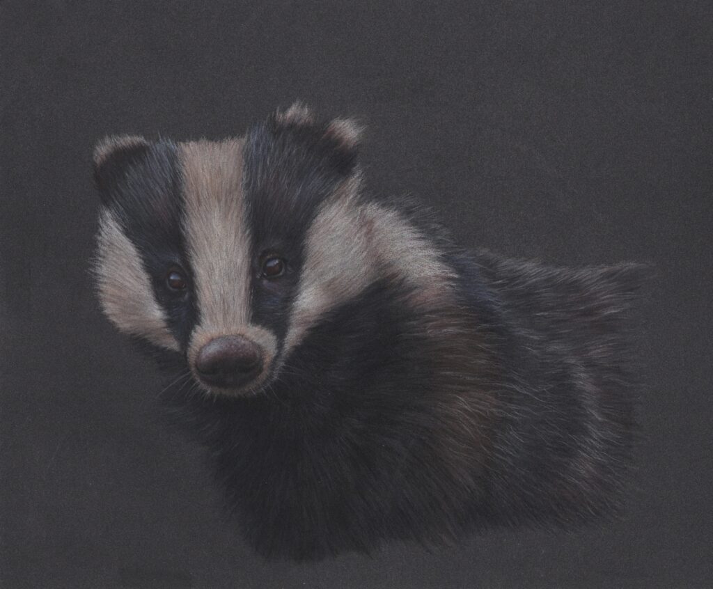 Custom Wildlife Portrait - Fine Art by Janna